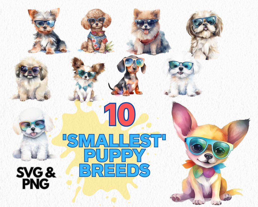 Watercolor Puppy Dog Breeds Clipart Bundle - 10 Small Dog Breeds PNG ...